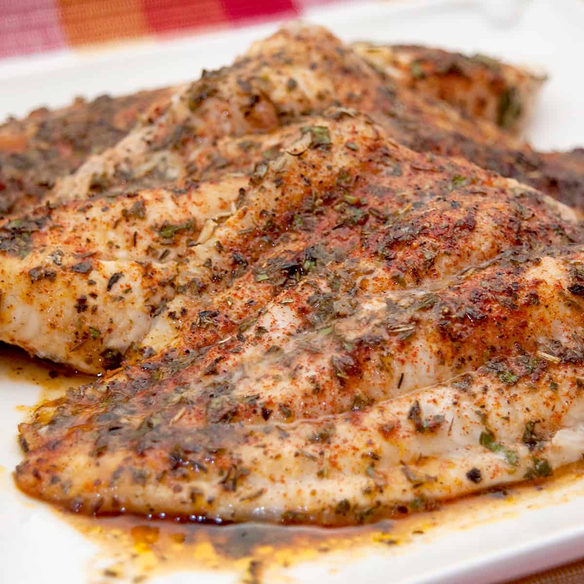 BAKED CATFISH WITH HERBS Angel s Place BAKED CATFISH WITH HERBS Angel s Place