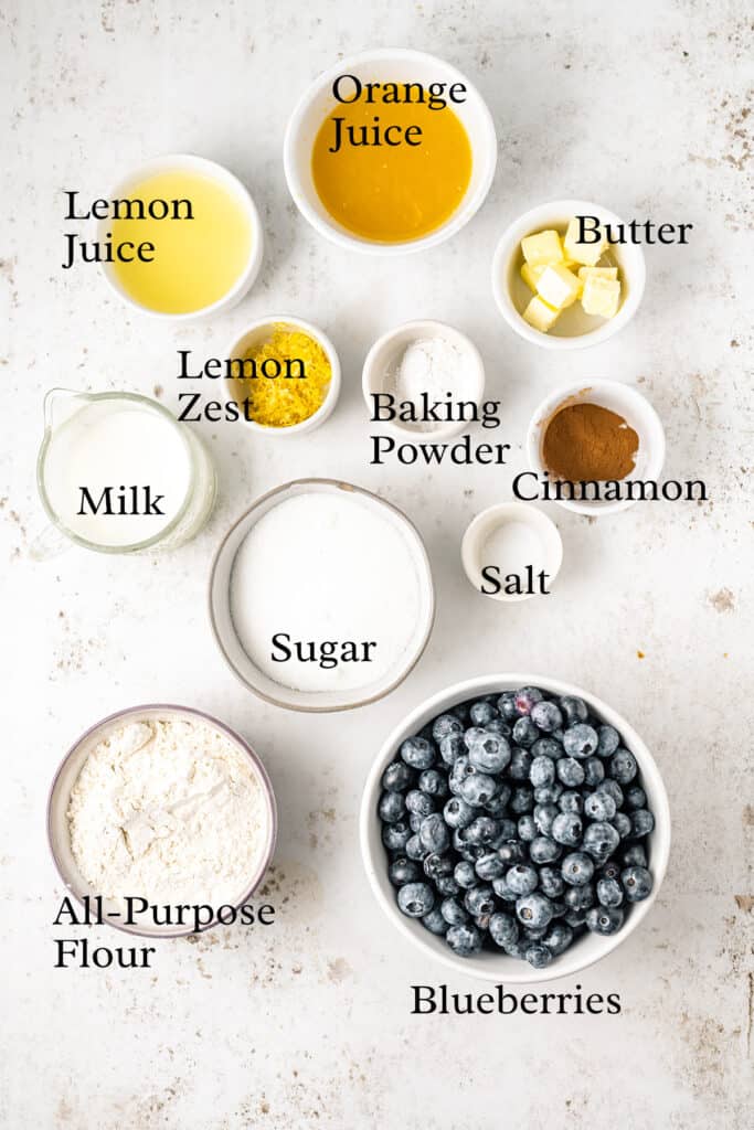 Stovetop Blueberry Slump Recipe - Lana's Cooking