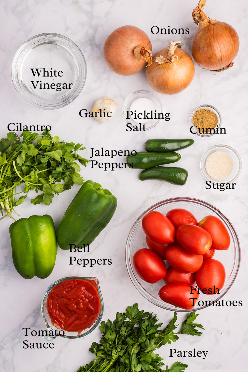 Easy Basic Salsa Recipe for Canning - Lana’s Cooking
